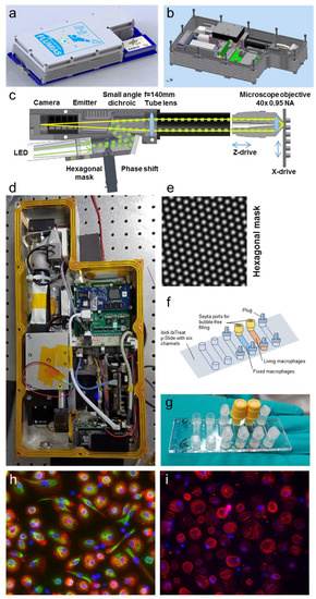Real-Time 3D High-Resolution Microscopy of Human Cells on the ...