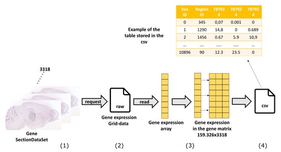 IJMS | Free Full-Text | Exploiting Gene Expression Profiles for the ...