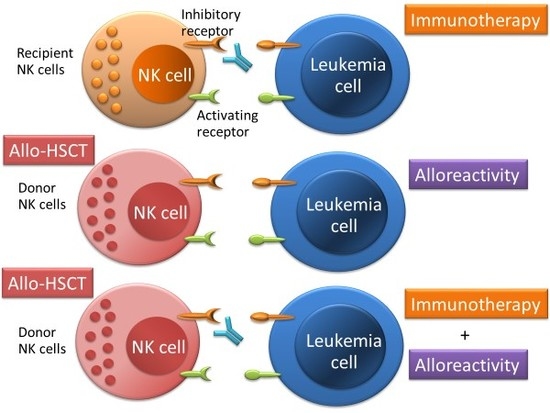 IJMS | Free Full-Text | Natural Killer Immunotherapy for Minimal Residual Disease Eradication ...