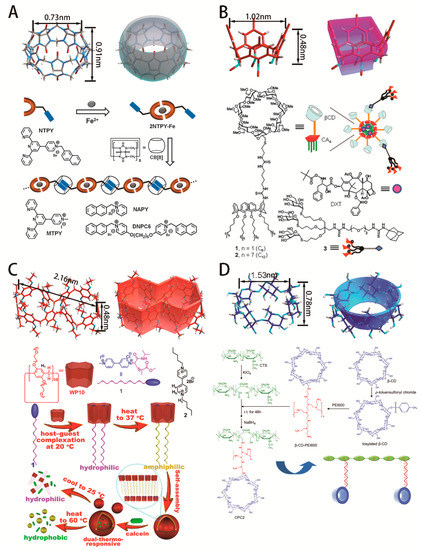 Macrocyclic Compounds for Drug and Gene Delivery in Immune-Modulating ...