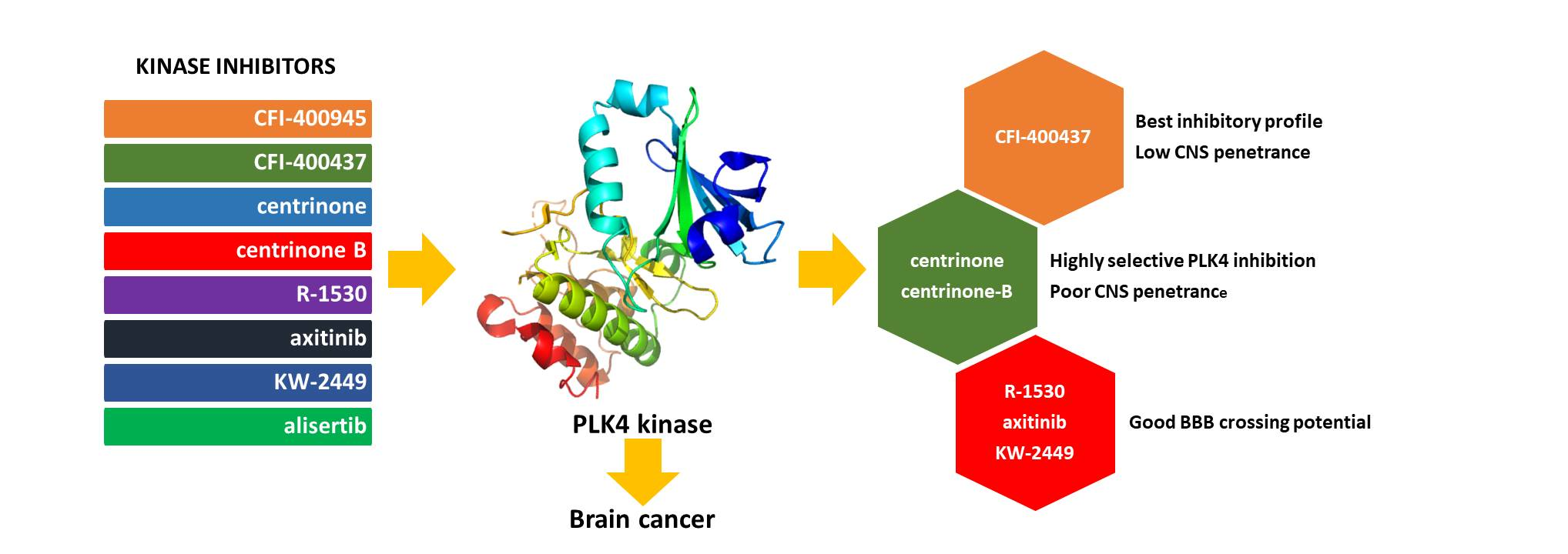IJMS | Free Full-Text | Evaluation of Protein Kinase Inhibitors with ...