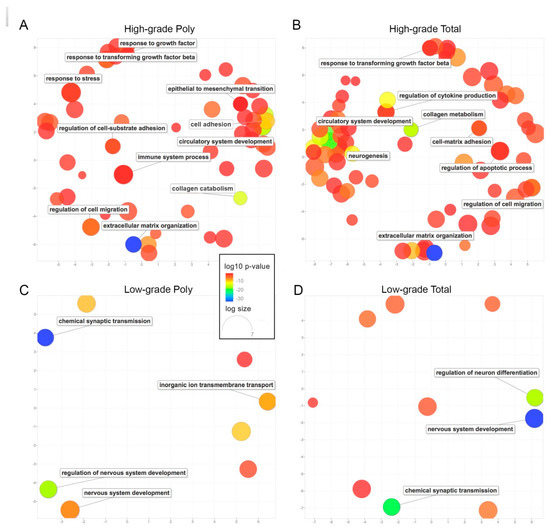 Polysome Profiling of a Human Glioblastoma Reveals Intratumoral ...