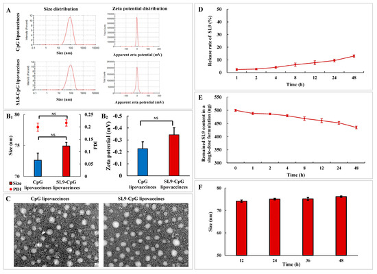 Nanostructured SL9-CpG Lipovaccines Elicit Immune Response for the ...