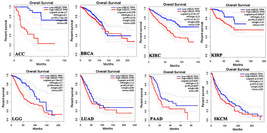 A Comprehensive Bioinformatics Analysis of UBE2C in Cancers