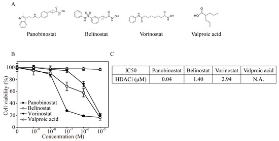 HDAC1,2 Knock-Out and HDACi Induced Cell Apoptosis in Imatinib ...