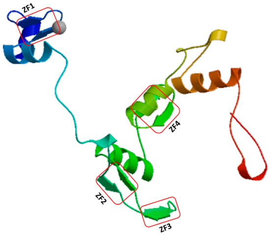 Role of the INDETERMINATE DOMAIN Genes in Plants Role of the INDETERMINATE DOMAIN Genes in Plants