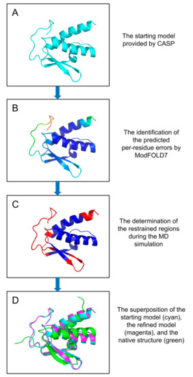 Methods for the Refinement of Protein Structure 3D Models