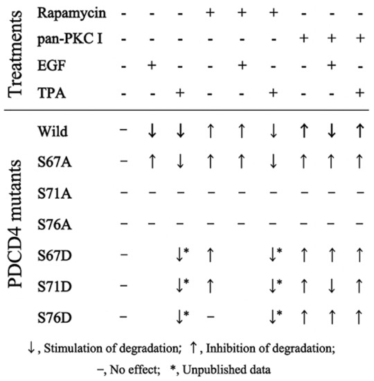 Control Mechanisms of the Tumor Suppressor PDCD4: Expression and Functions