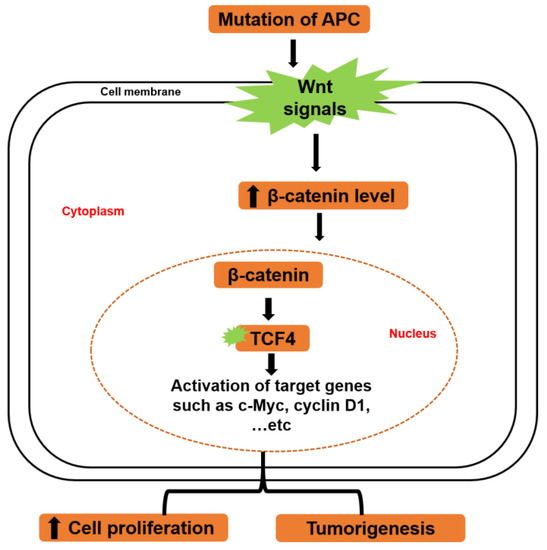 Emerging Roles of C-Myc in Cancer Stem Cell-Related Signaling and ...