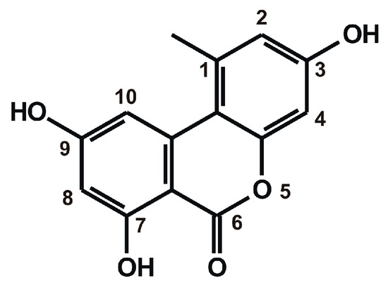 IJMS | Free Full-Text | Interaction of Mycotoxin Alternariol with Serum ...