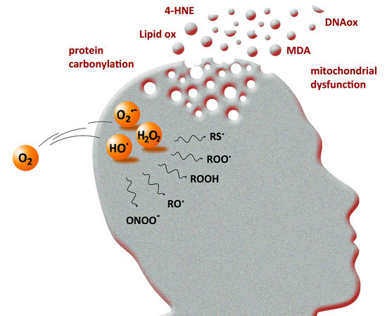 IJMS | Free Full-Text | Chemical Basis of Reactive Oxygen Species ...