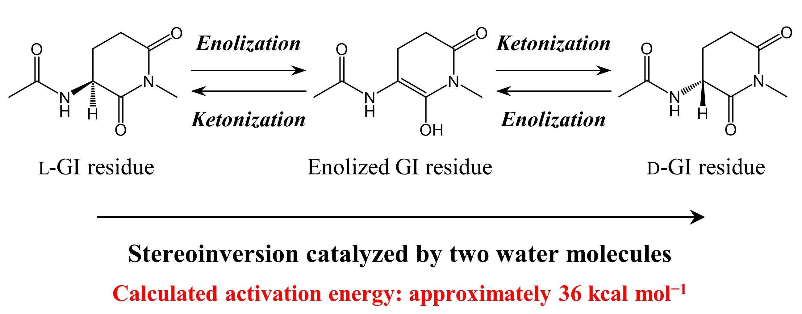 IJMS | Free Full-Text | Computational Studies on Water-Catalyzed ...