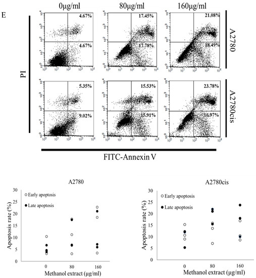 IJMS | Special Issue : Cisplatin in Cancer Therapy: Molecular ...