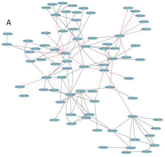 IJMS | Free Full-Text | Transcriptome and Proteome Profiling of ...