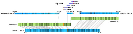 The Dark Matter of Large Cereal Genomes: Long Tandem Repeats
