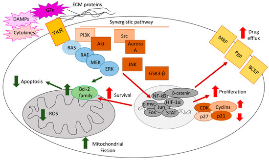 IJMS | Special Issue : ERK Signaling Pathway in Diseases