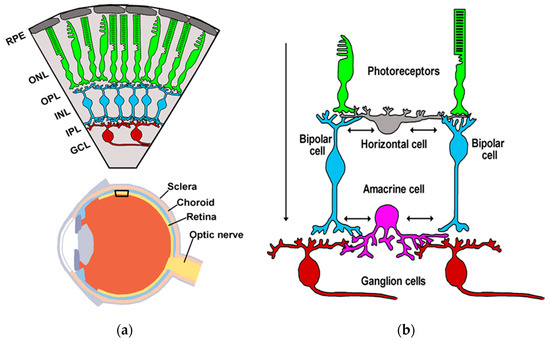 Molecular and Cellular Mechanisms Underlying Somatostatin-Based ...
