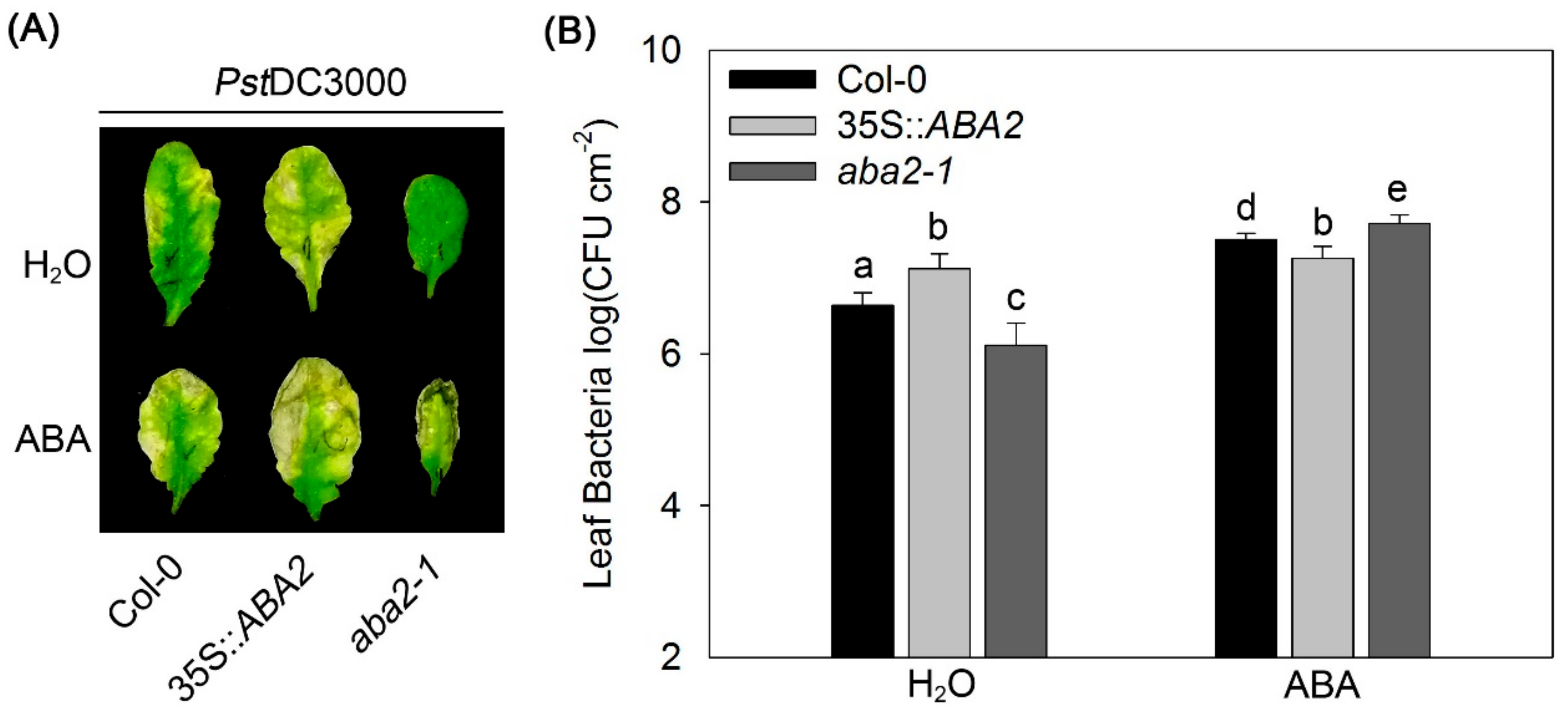 Differential Function of Endogenous and Exogenous Abscisic Acid during ...