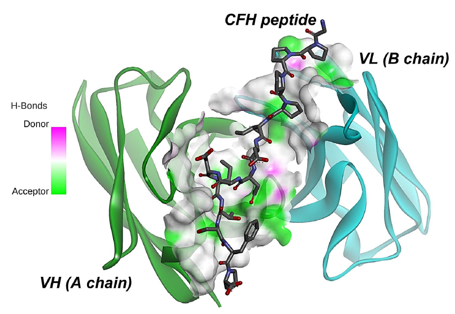IJMS | Free Full-Text | Molecular Docking and Molecular Dynamics (MD ...
