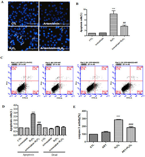 Artemisinin Attenuated Hydrogen Peroxide (H2O2)-Induced Oxidative ...