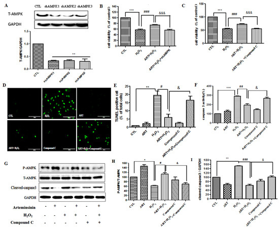 Artemisinin Attenuated Hydrogen Peroxide (H2O2)-Induced Oxidative ...