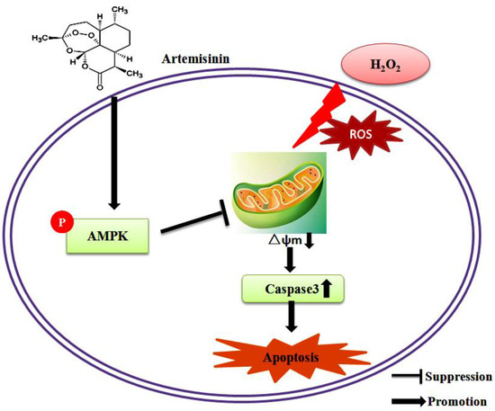 IJMS | Special Issue : Physiological and Pathological Role of ROS ...