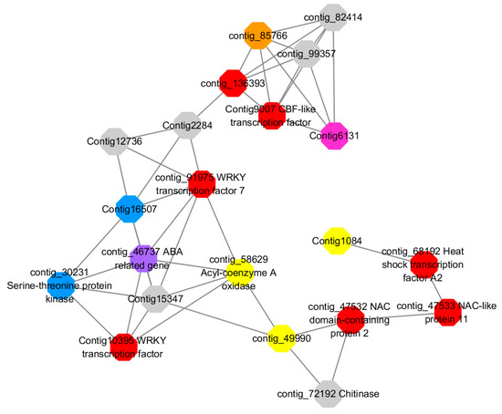 Transcriptional Regulatory Network of GA Floral Induction Pathway in LA ...
