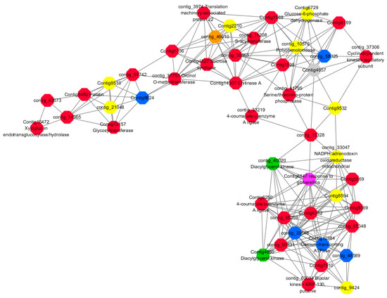IJMS | Free Full-Text | Transcriptional Regulatory Network of GA Floral ...