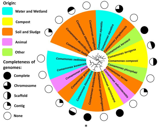 Chemotaxis Towards Aromatic Compounds: Insights from Comamonas testosteroni