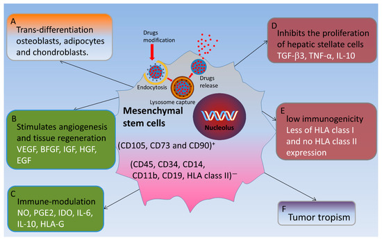 IJMS | Free Full-Text | Pathogenesis, Early Diagnosis, and Therapeutic ...