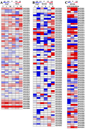 The Class III Peroxidase (POD) Gene Family in Cassava: Identification ...