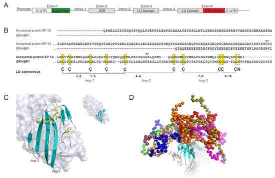 IJMS | Special Issue : Protein Domain Evolution and Involvement in Diseases