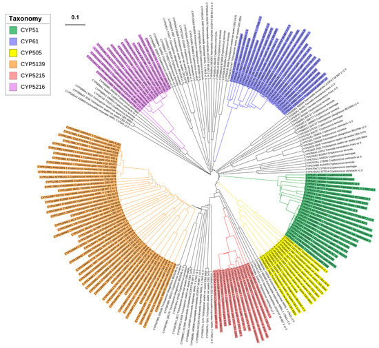 Distribution and Diversity of Cytochrome P450 Monooxygenases in the ...