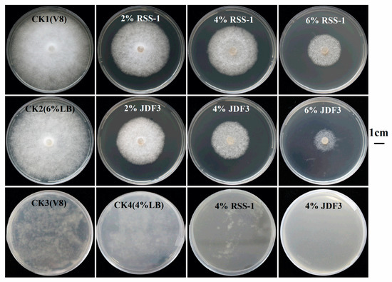 Biocontrol and Action Mechanism of Bacillus amyloliquefaciens and ...