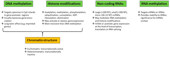 Multigenerational and Transgenerational Effects of Dioxins