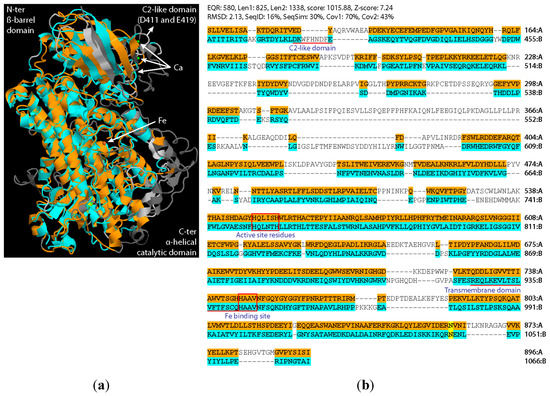 International Journal of Molecular Sciences | An Open Access Journal ...