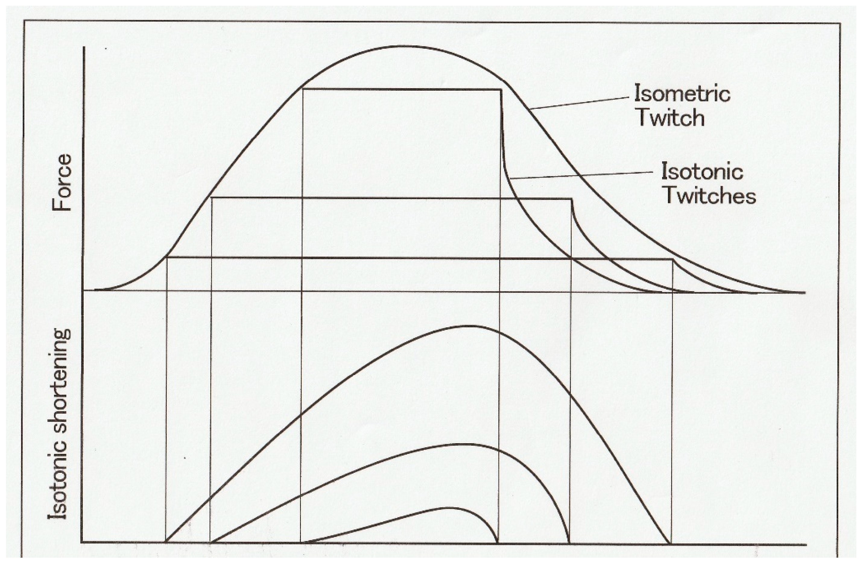 Isometric Vs Isotonic Contraction Graph Isometric Vs Isotonic Contraction Graph
