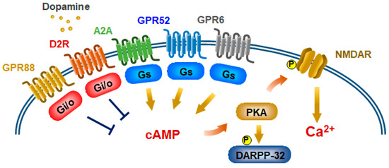 IJMS | Special Issue : GPCR Structure and Function in Disease