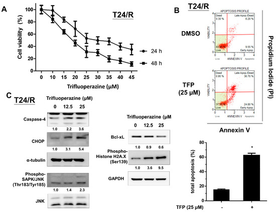 IJMS | Special Issue : Cisplatin in Cancer Therapy: Molecular ...