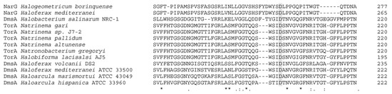 DMSO Reductase Family: Phylogenetics and Applications of Extremophiles