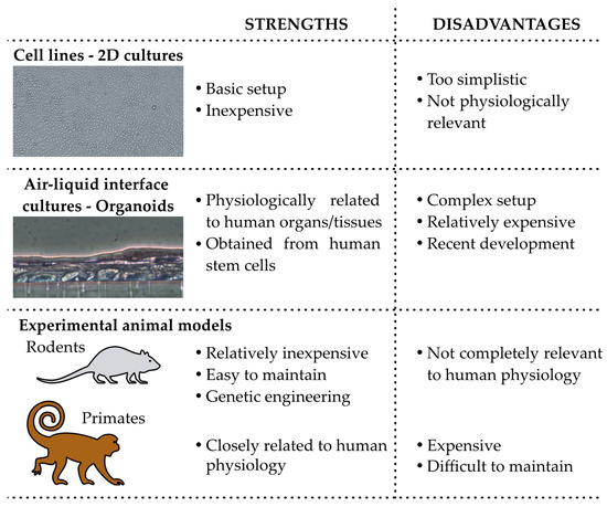 Ijms Free Full Text Bacterial Colonization Of The Female Upper