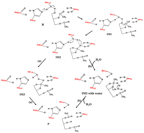 A Density Functional Theory (DFT) Study of the Acyl Migration Occurring ...