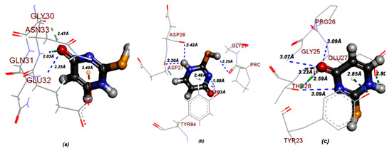 Biomolecules of 2-Thiouracil, 4-Thiouracil and 2,4-Dithiouracil: A DFT ...