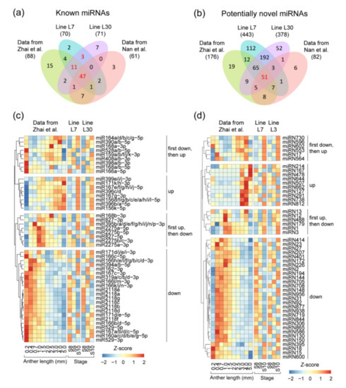 Discovering and Constructing ceRNA-miRNA-Target Gene Regulatory ...