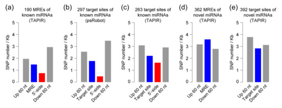 Discovering and Constructing ceRNA-miRNA-Target Gene Regulatory ...