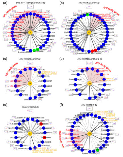 Discovering and Constructing ceRNA-miRNA-Target Gene Regulatory ...