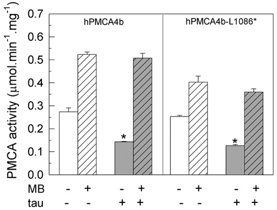 Methylene Blue Blocks and Reverses the Inhibitory Effect of Tau on PMCA ...