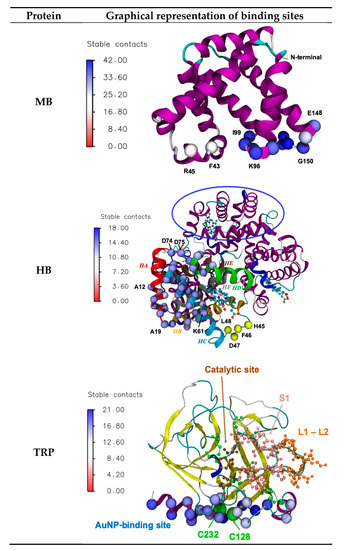 Multiscale Molecular Dynamics Simulation of Multiple Protein Adsorption ...