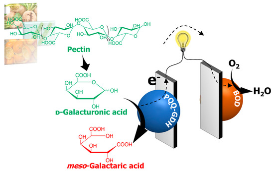 Production of Hexaric Acids from Biomass