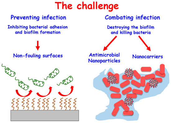 Nanomaterials as Promising Alternative in the Infection Treatment